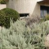 Javier Barba’s first bioclimatic Barcelona house is for sale - The Spaces