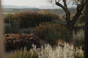 Câlin is a secluded retreat that brings Nordic minimalism to the South ...