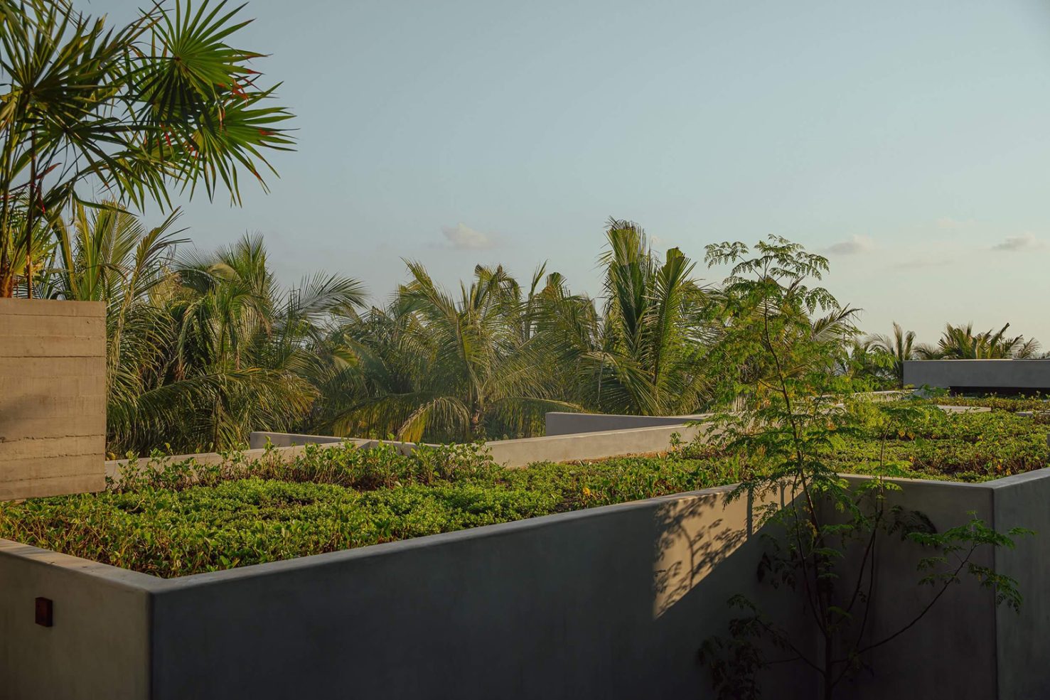 Musa’s Hotelito is a small but mighty solar-powered hotel on Mexico’s ...