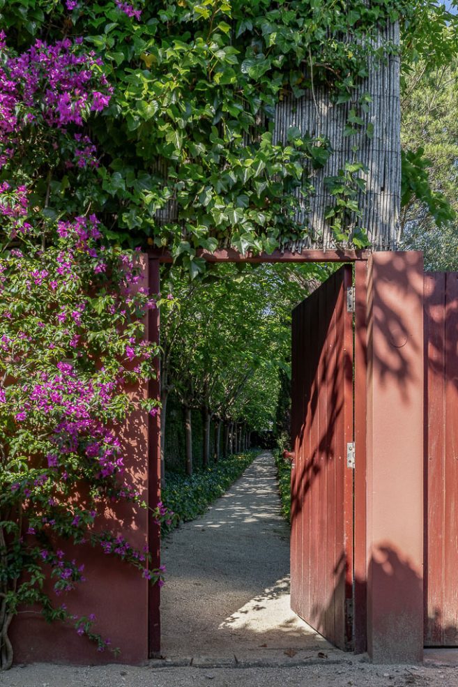 Tour a leafy Portuguese Quinta with grand gardens and a stunning ...