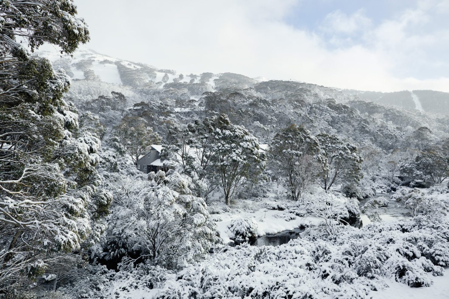 A Sea Ranch-inspired retreat is for sale in the Snowy Mountains - The ...