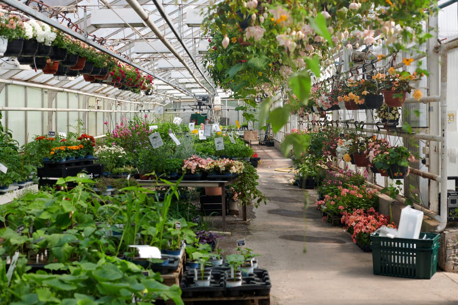 Discover Helsinki’s green spaces: from parks to plates - The Spaces