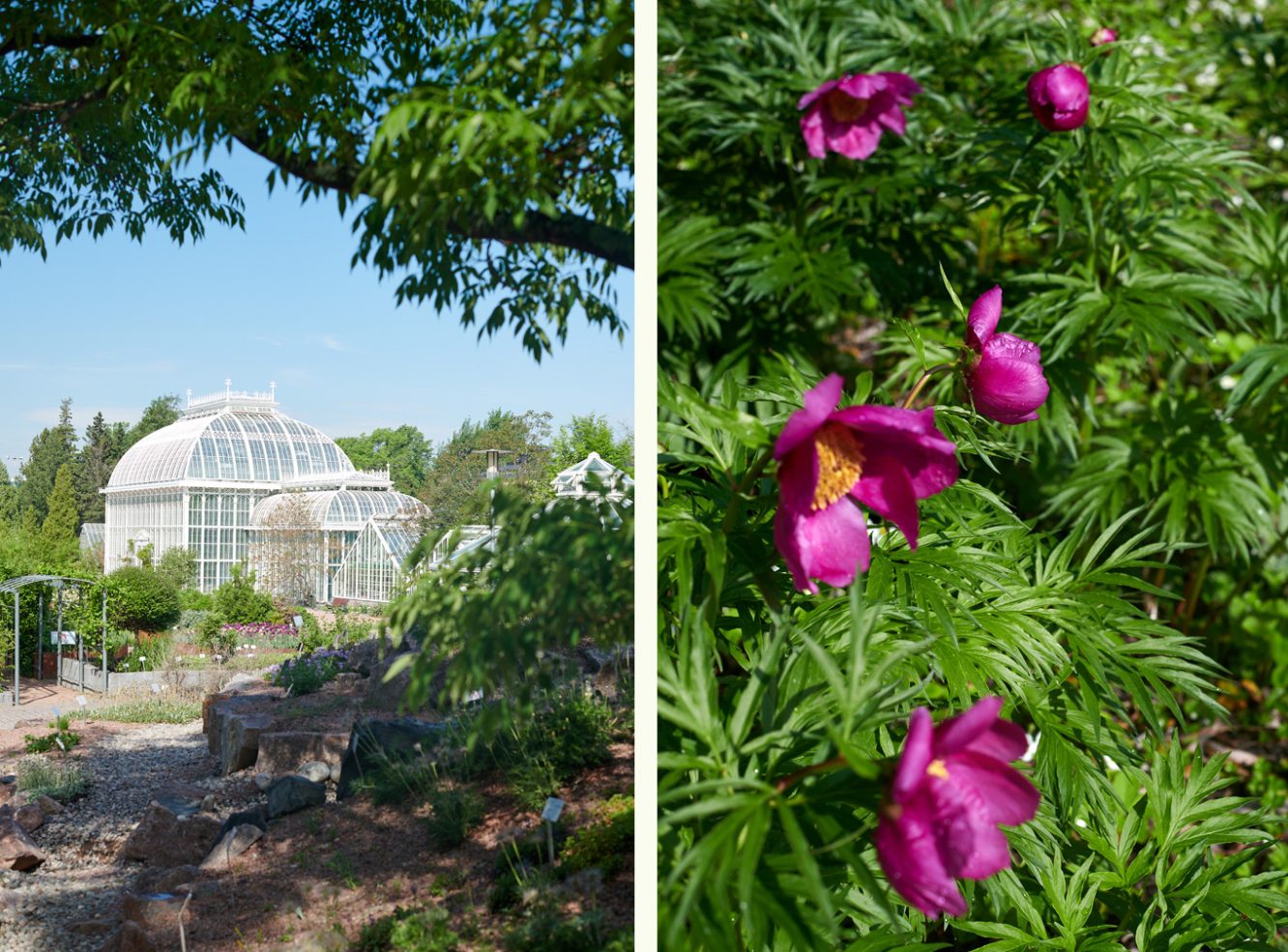 Discover Helsinki’s green spaces: from parks to plates - The Spaces