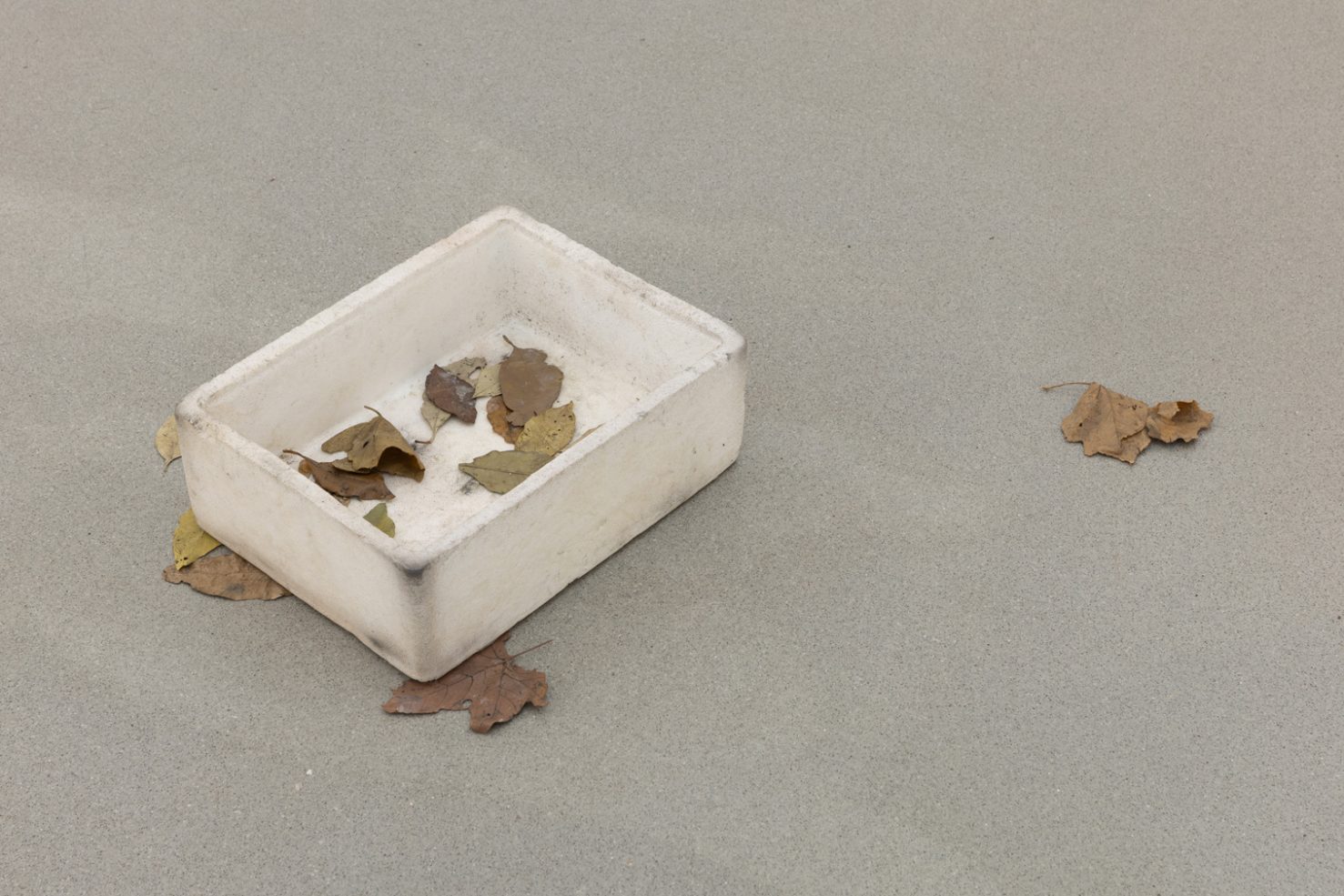 The Henry Moore Institute reopens in Leeds after a refresh - The Spaces