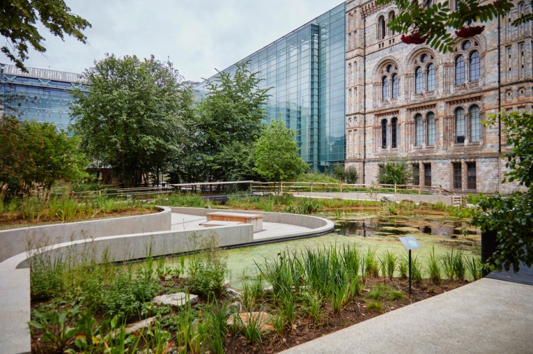 New gardens at the Natural History Museum take Londoners on a Jurassic ...