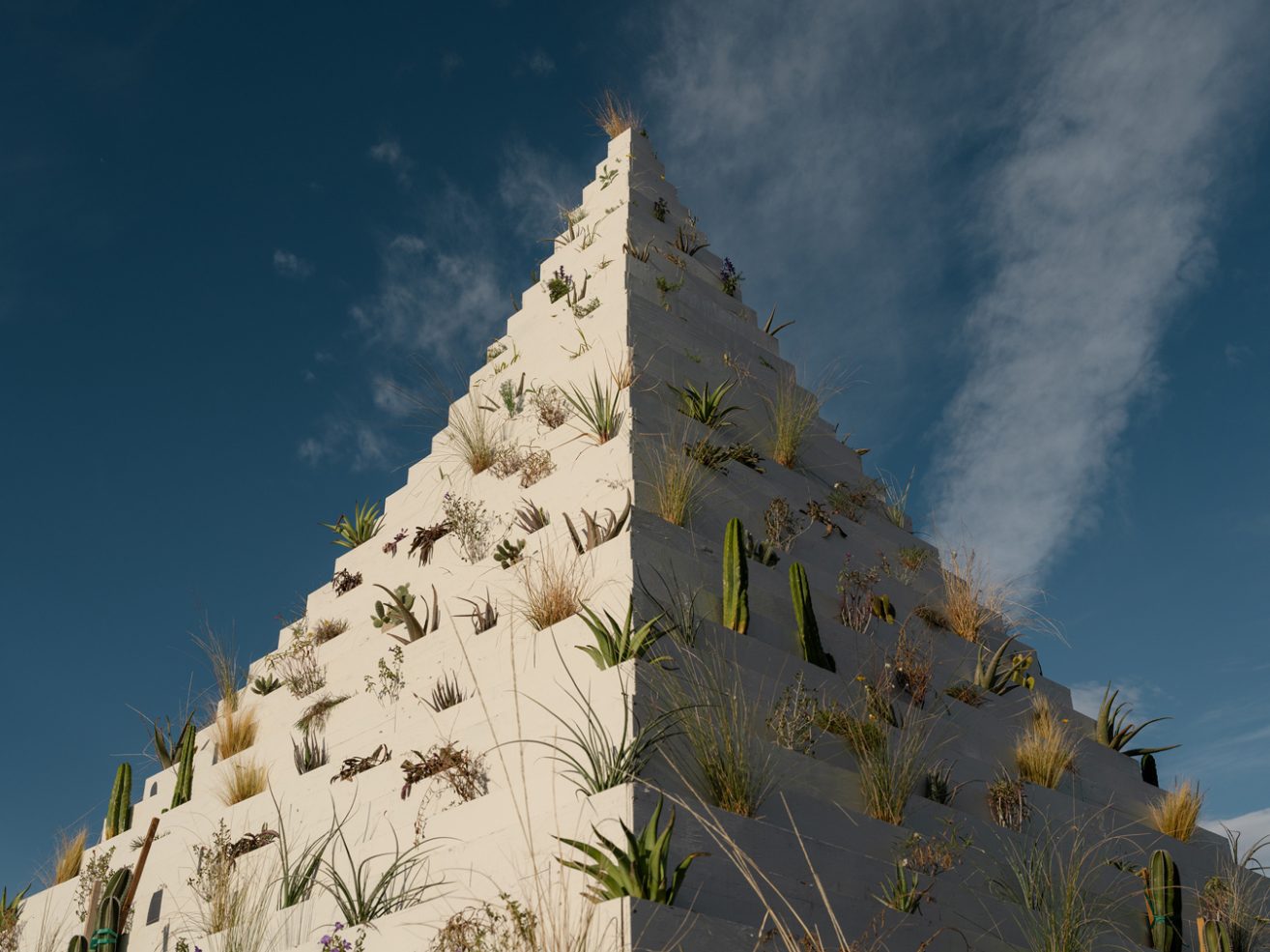 Agnes Denes builds a 'Living Pyramid' in the Coachella Valley - The Spaces