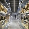 V&A museum unveils its new Storehouse: an all-access area in East ...
