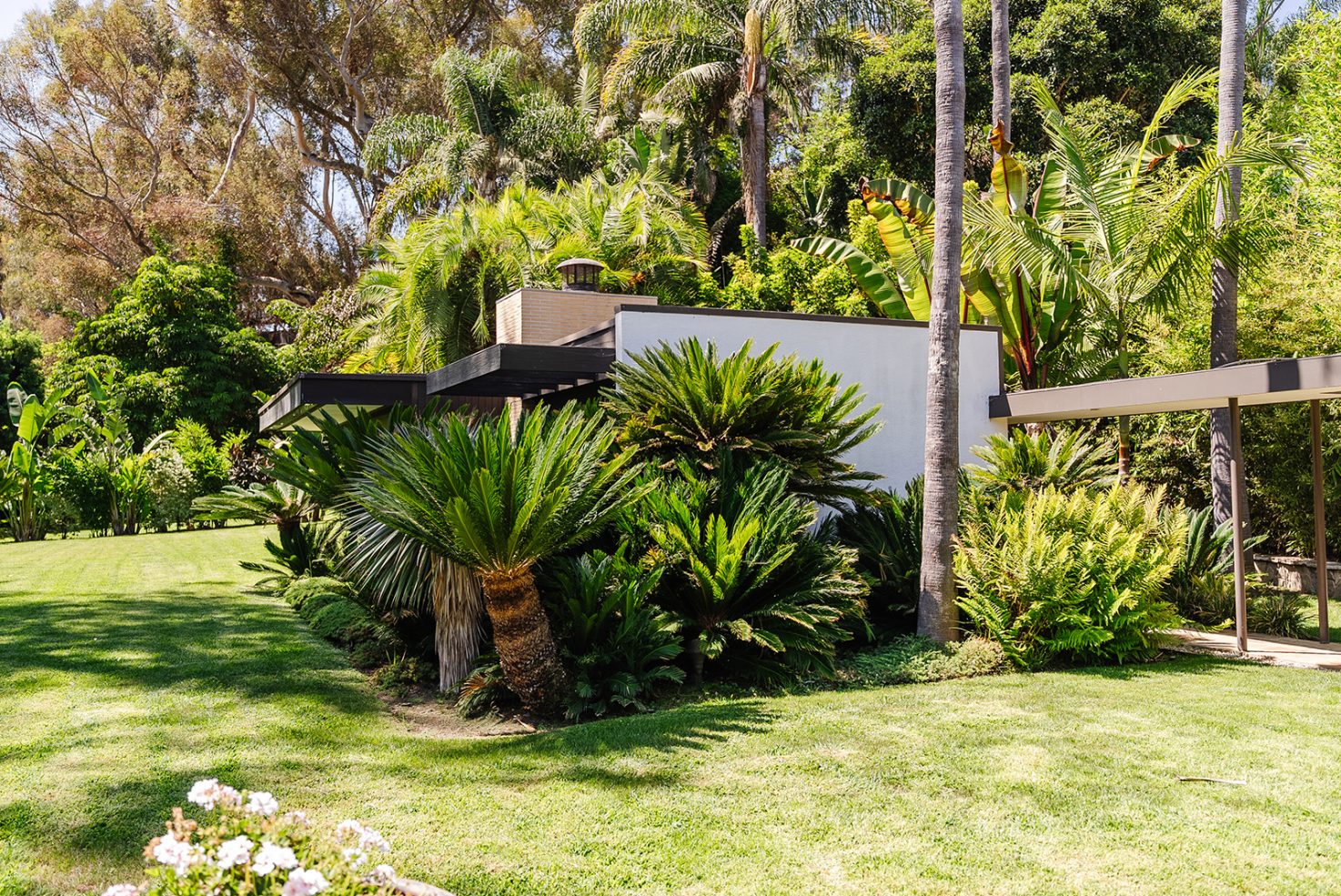 Tour the only Case Study House designed by Richard Neutra - The Spaces