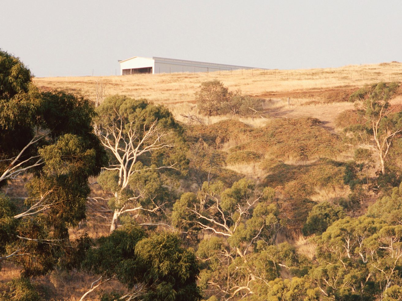 Award-winning Daylesford Longhouse is on the market - The Spaces